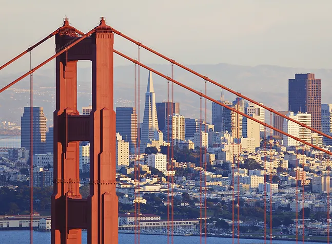 Bay Area College Admissions Consultants - College Consulting